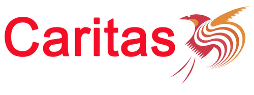 Admissions Process — Caritas Schools