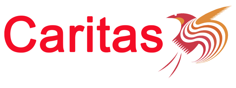 Admissions Process — Caritas Schools