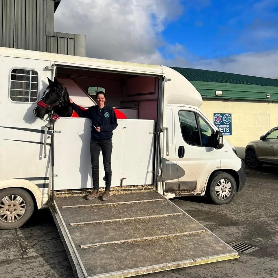 Equine — Mortimer Vets
