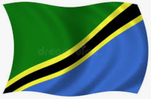 How to Give in Tanzania — Rondo Junior Seminary