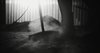 TOUR — ALTERNOSFERA