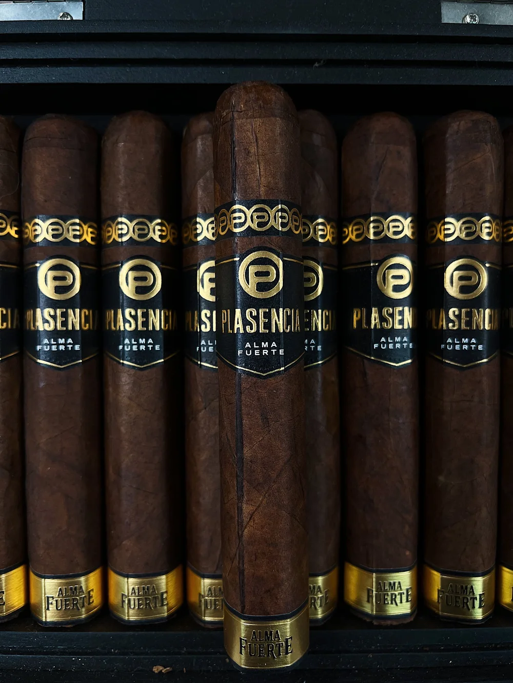 NICE ASH