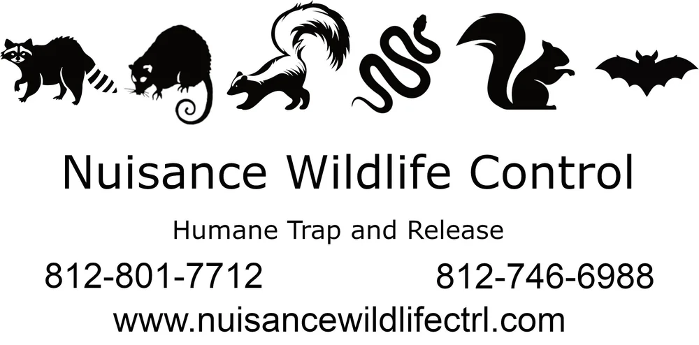 Nuisance Wildlife Control