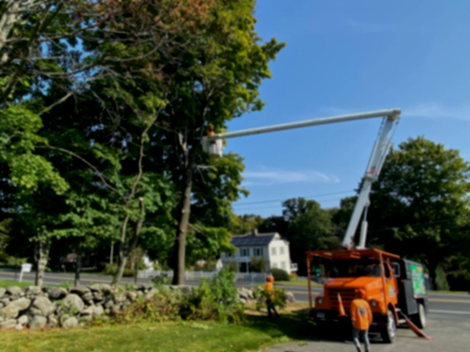Steven's Tree Service & Landscaping LLC