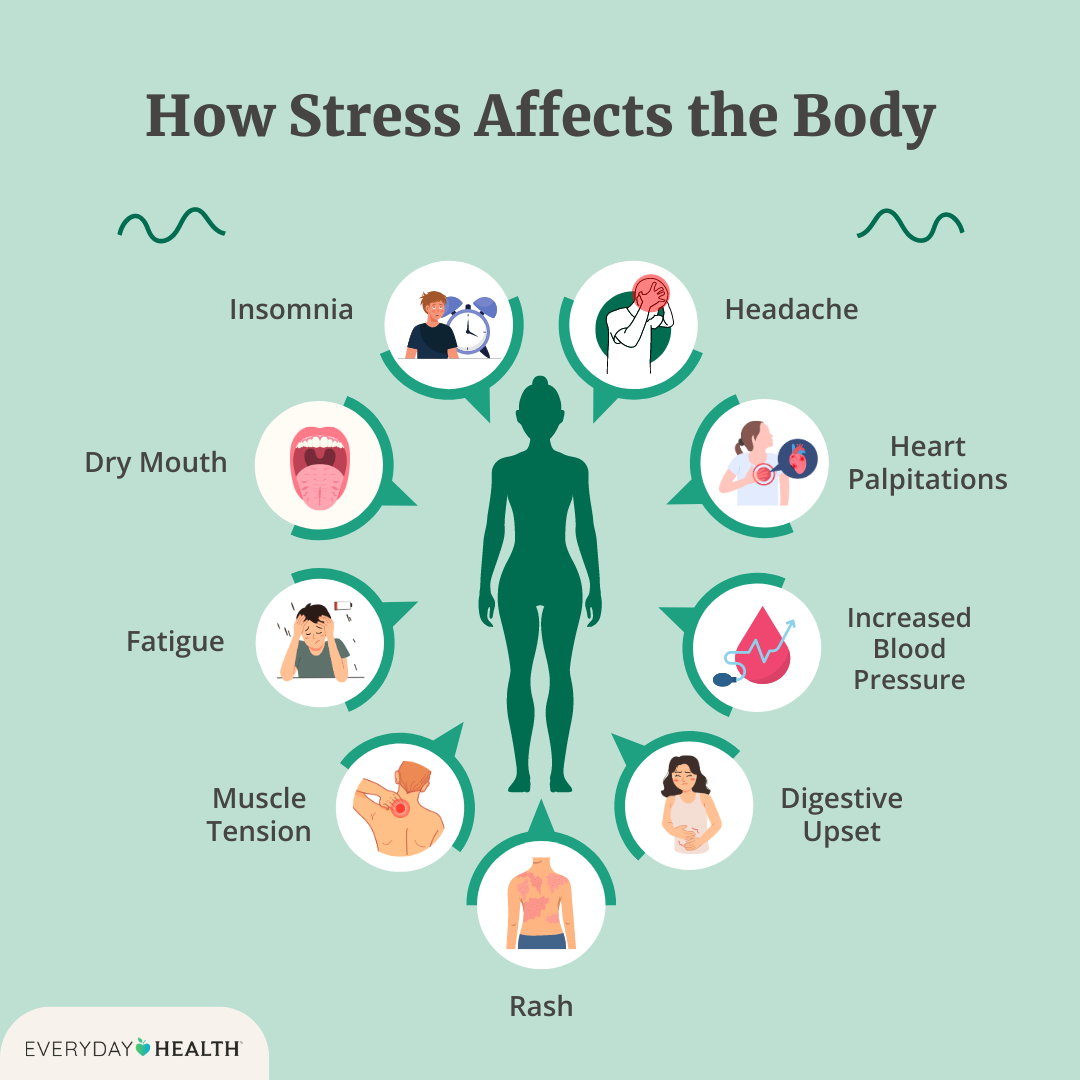 How Stress Messes With Your Body (And What to Do About It!) — TDT ...