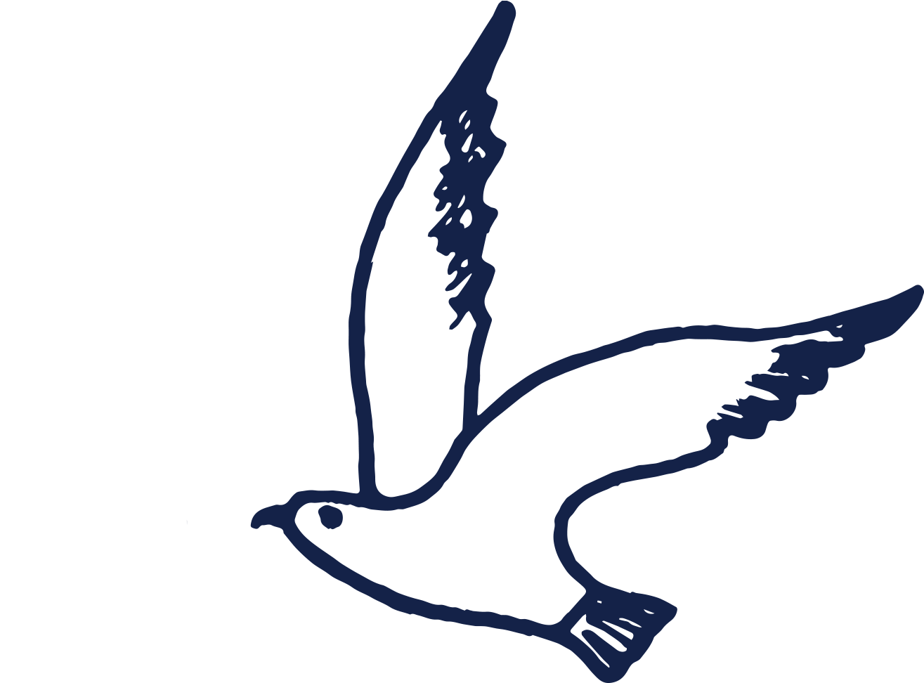 Welcome — Blueys Kitchen