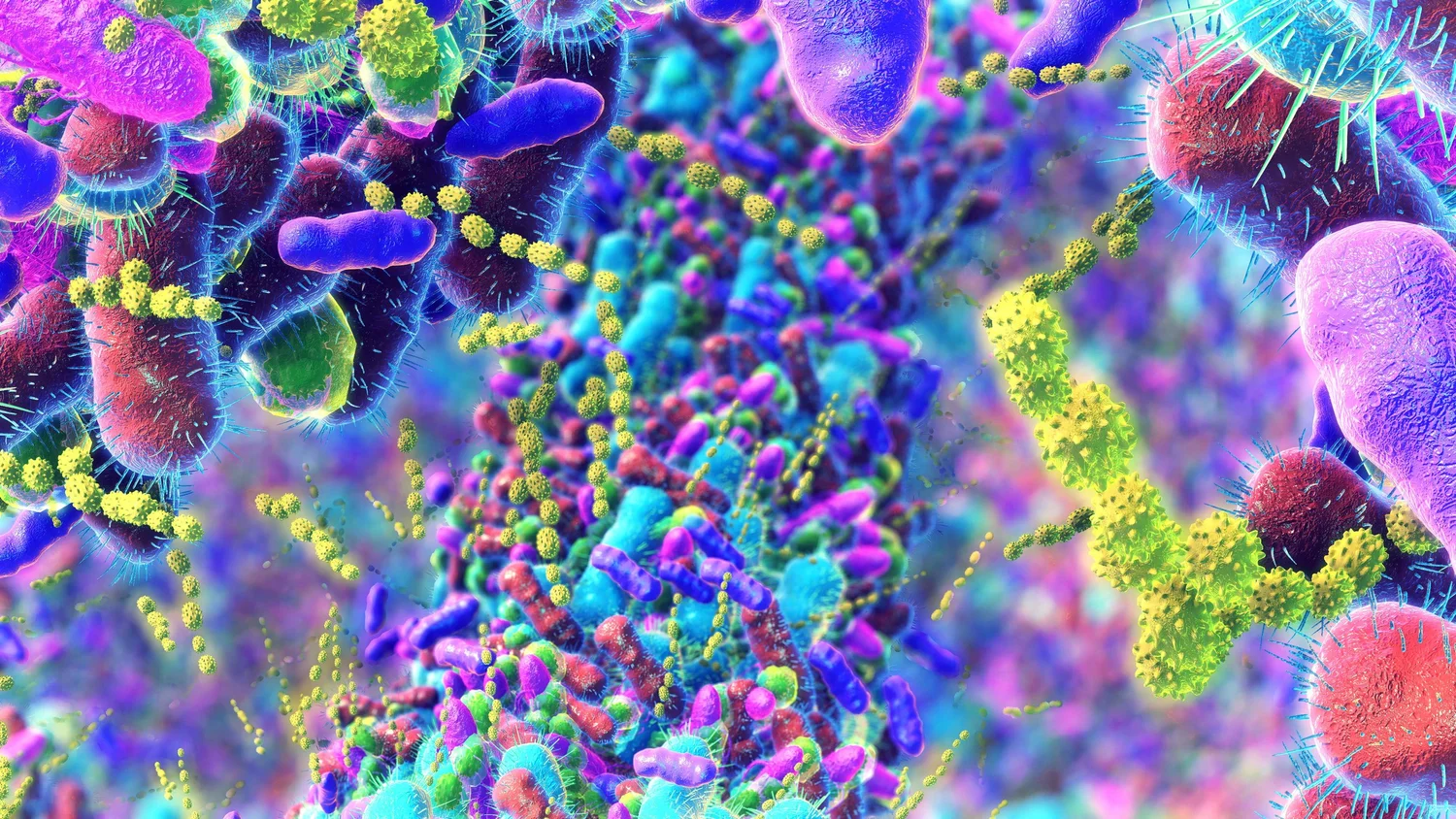 NeuroFiber | Prebiotic Fiber Bar for Gut-Brain Health