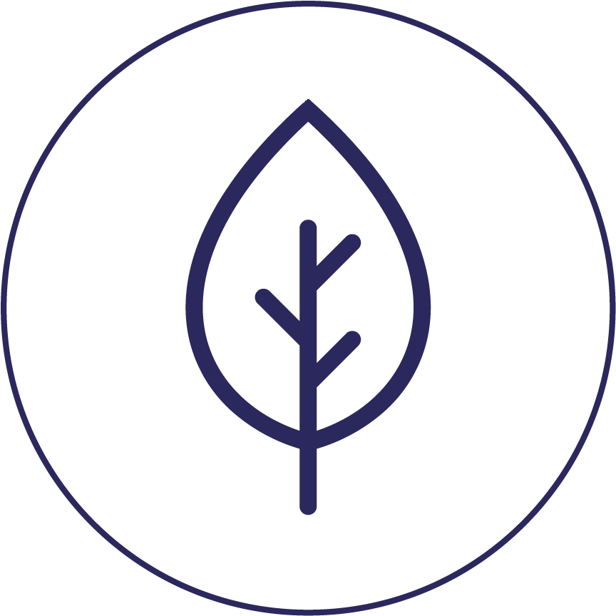 NeuroFiber | Prebiotic Fiber Bar for Gut-Brain Health