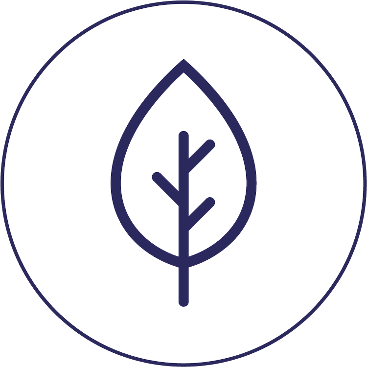 NeuroFiber | Prebiotic Fiber Bar for Gut-Brain Health