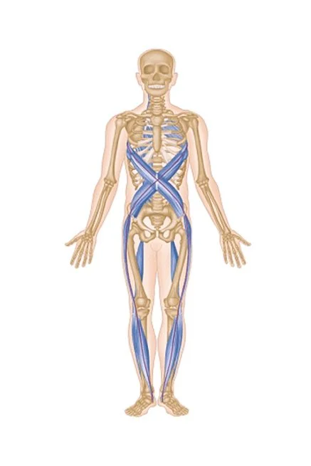 Bowen Technique — Bowen Therapy with Marylou