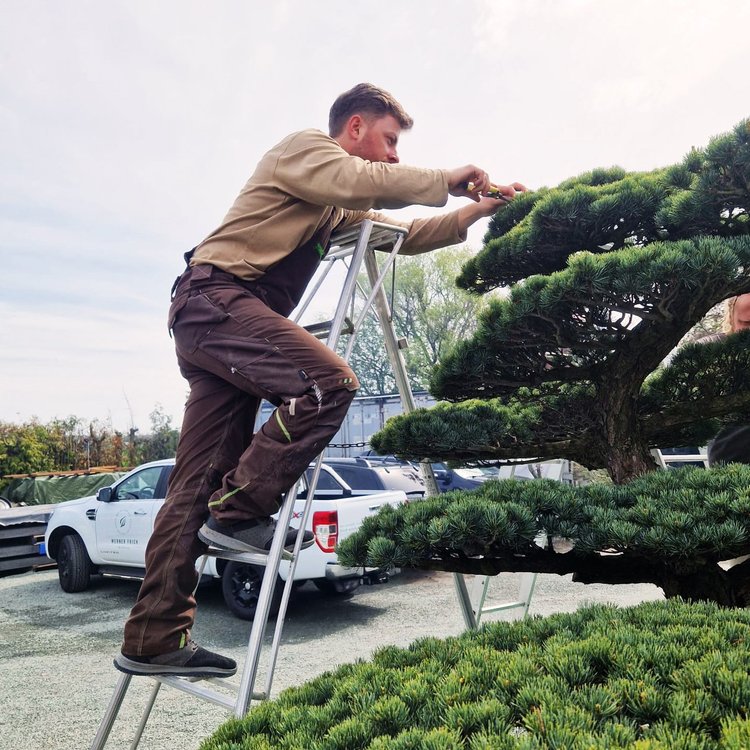 Werner Frick Winhöring | Garten- und Landschaftsbau in Südostbayern