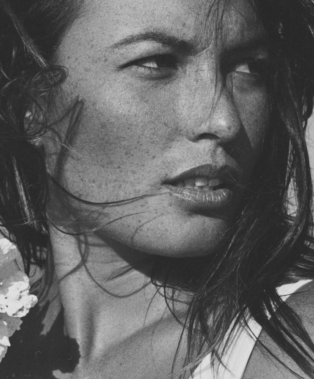 STEPHEN BUTKUS STUDIOS