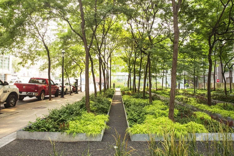 Forest and Field Landscape Architecture