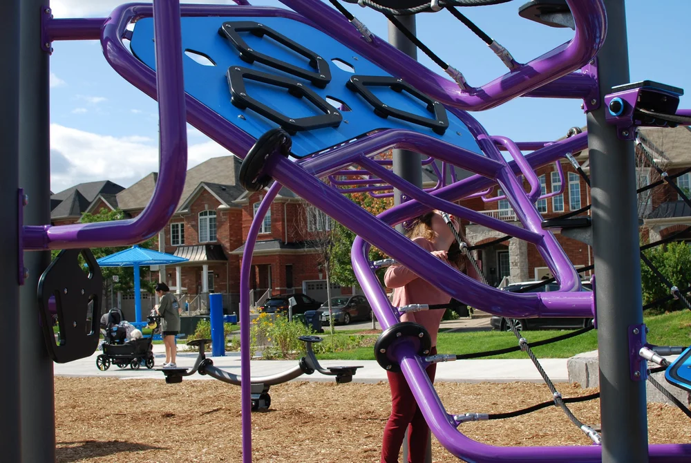 Isaac Devins Park — Forest and Field Landscape Architecture
