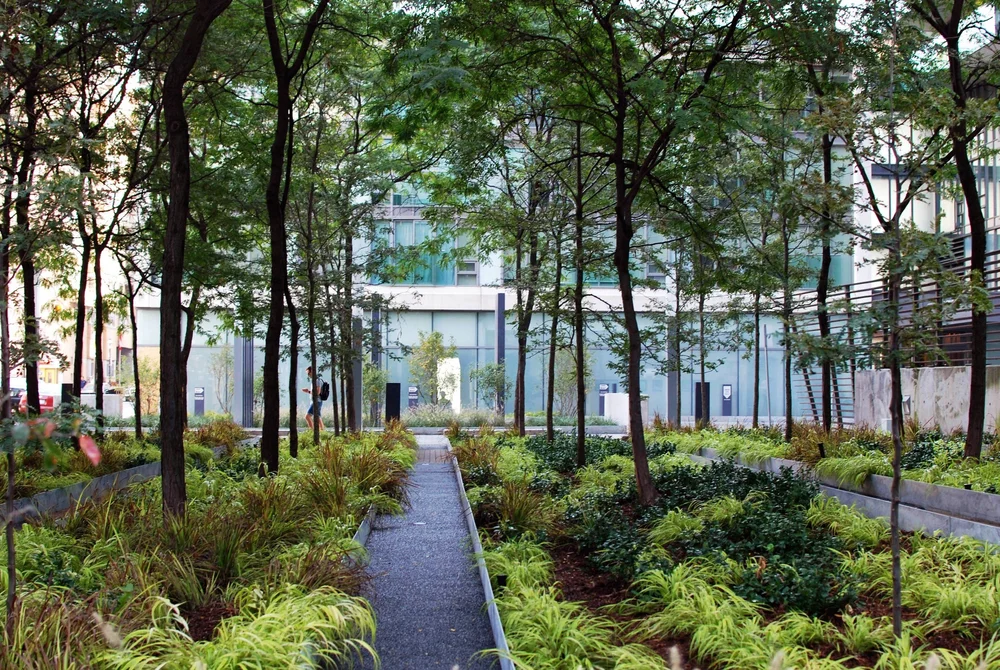 Forest and Field Landscape Architecture