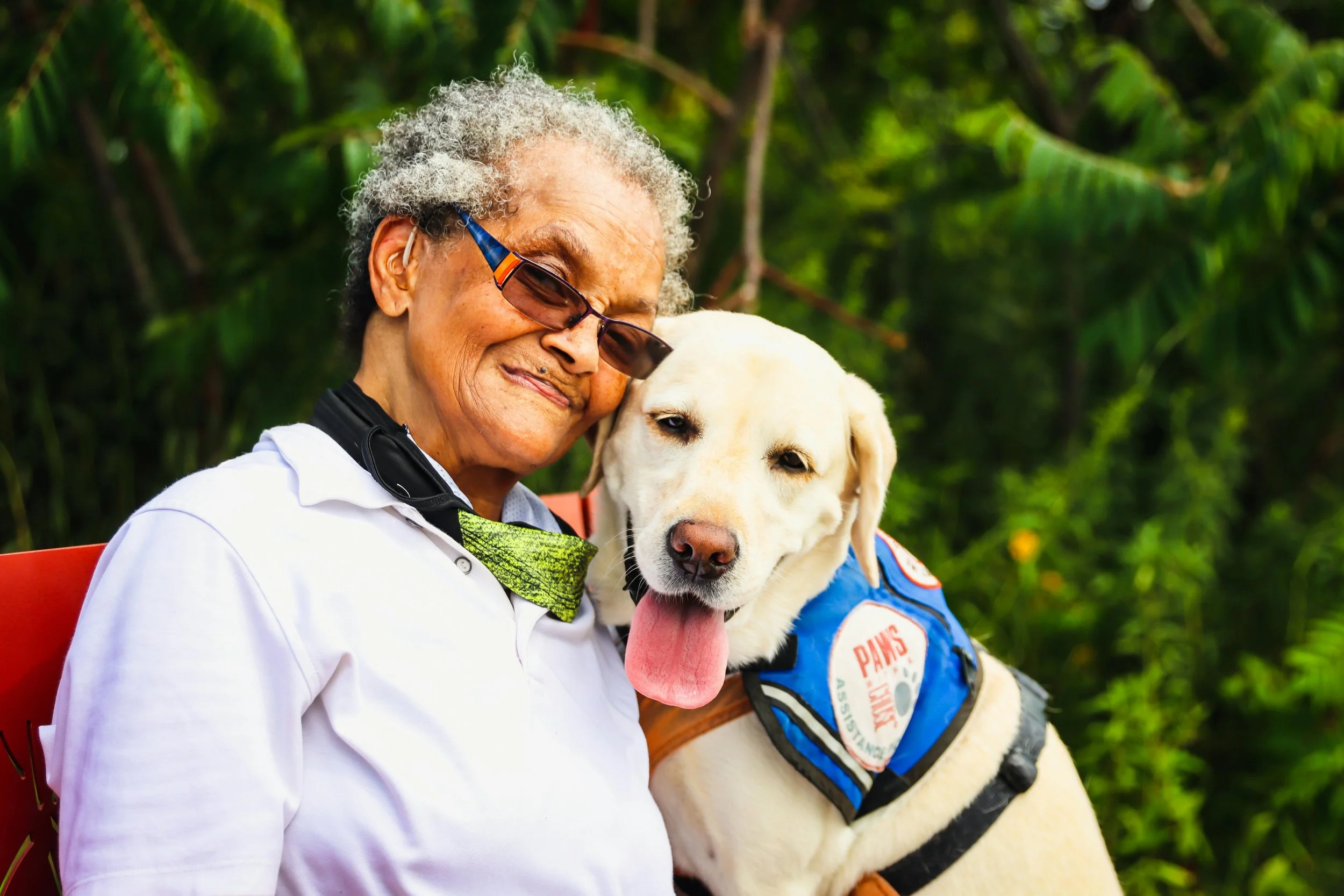 Beyond the Vest: Debunking the Myths That Undermine Service Animal ...