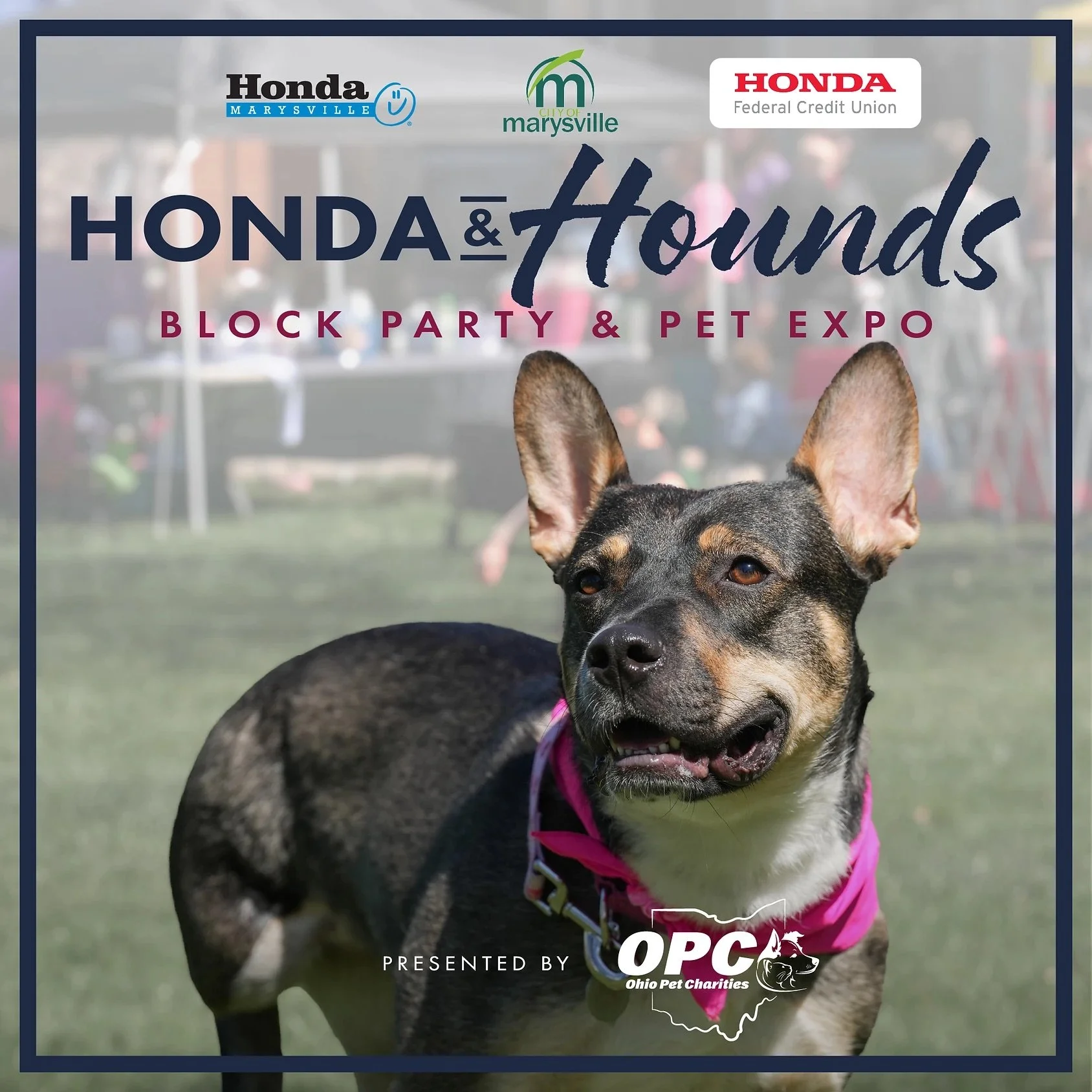 Honda & Hounds 2025 — Ohio Animal Advocates