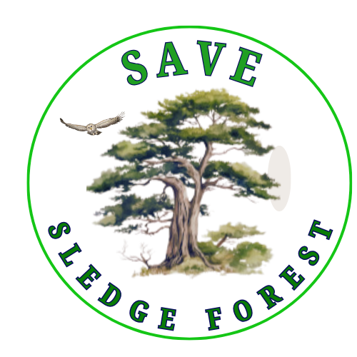 Protecting our last, large expanse of old growth forest