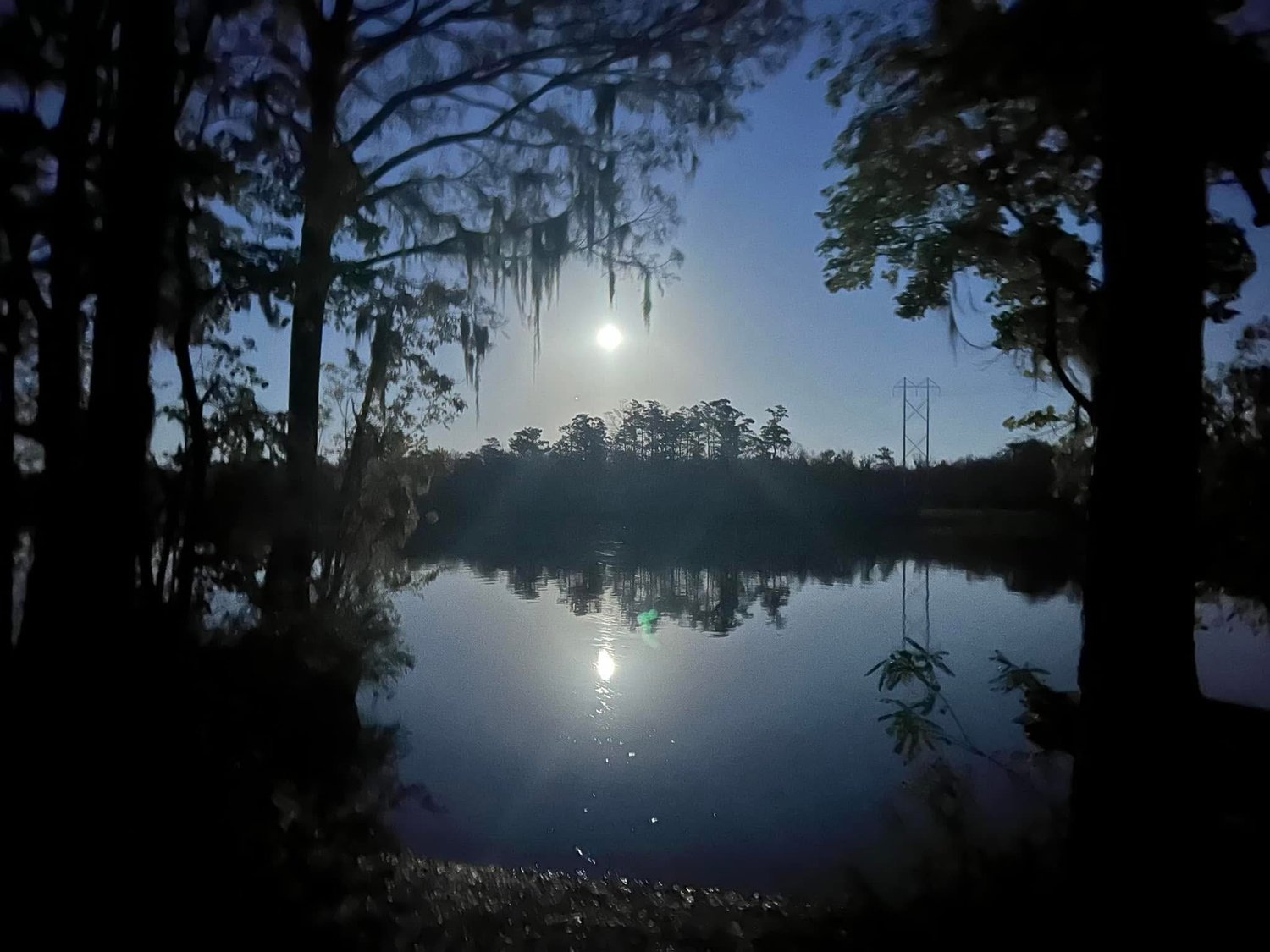 Protecting our last, large expanse of old growth forest