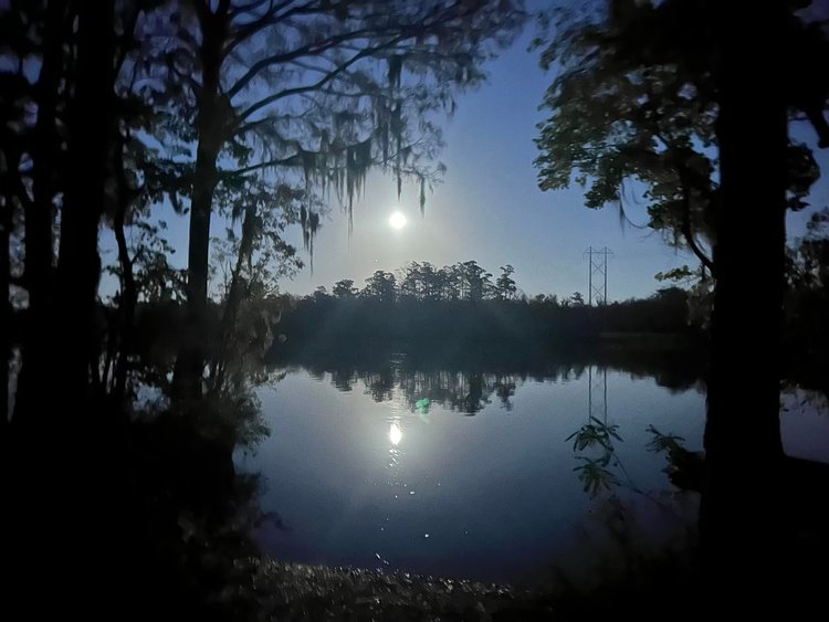 Protecting our last, large expanse of old growth forest