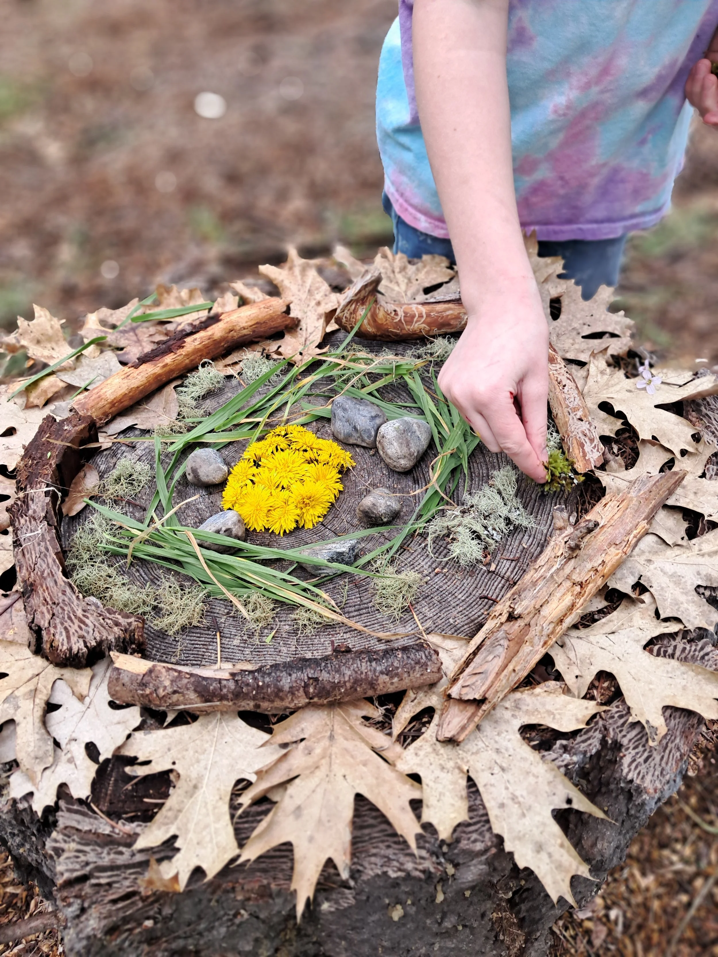 Nature Art Explorations — Sticks and Stones Studio