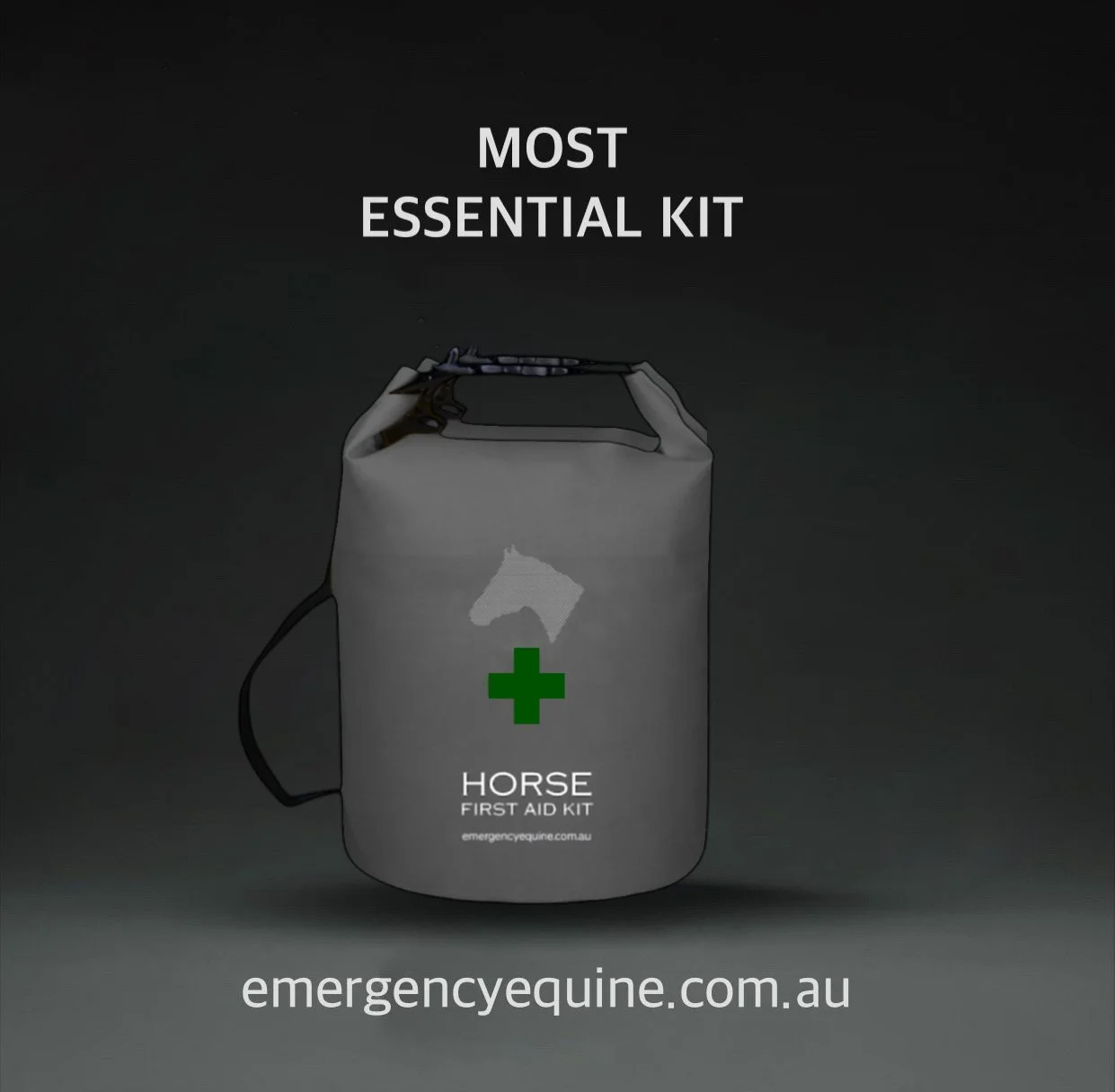 Horse Equine First Aid Kits