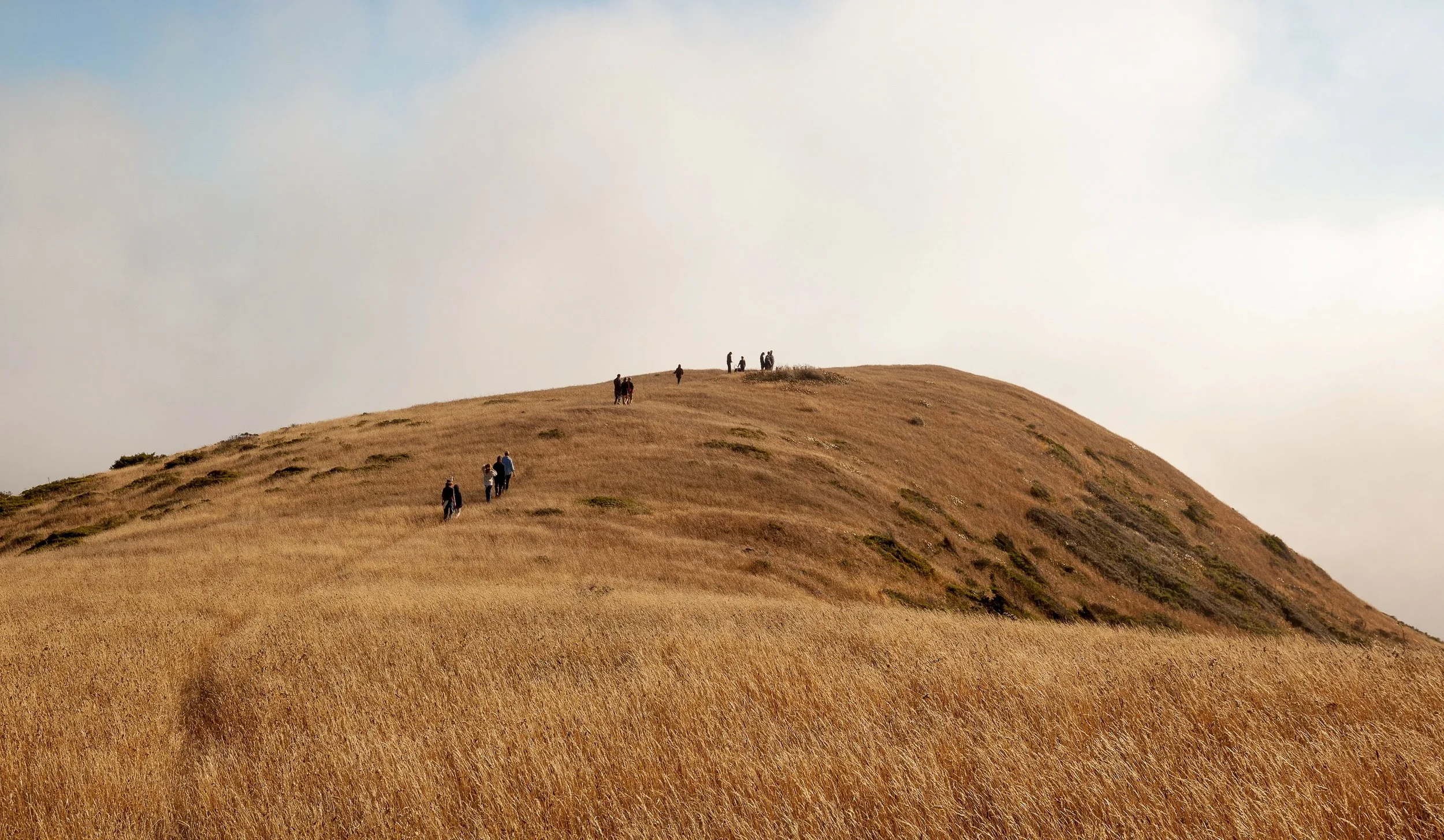 Forgotten Lands Project