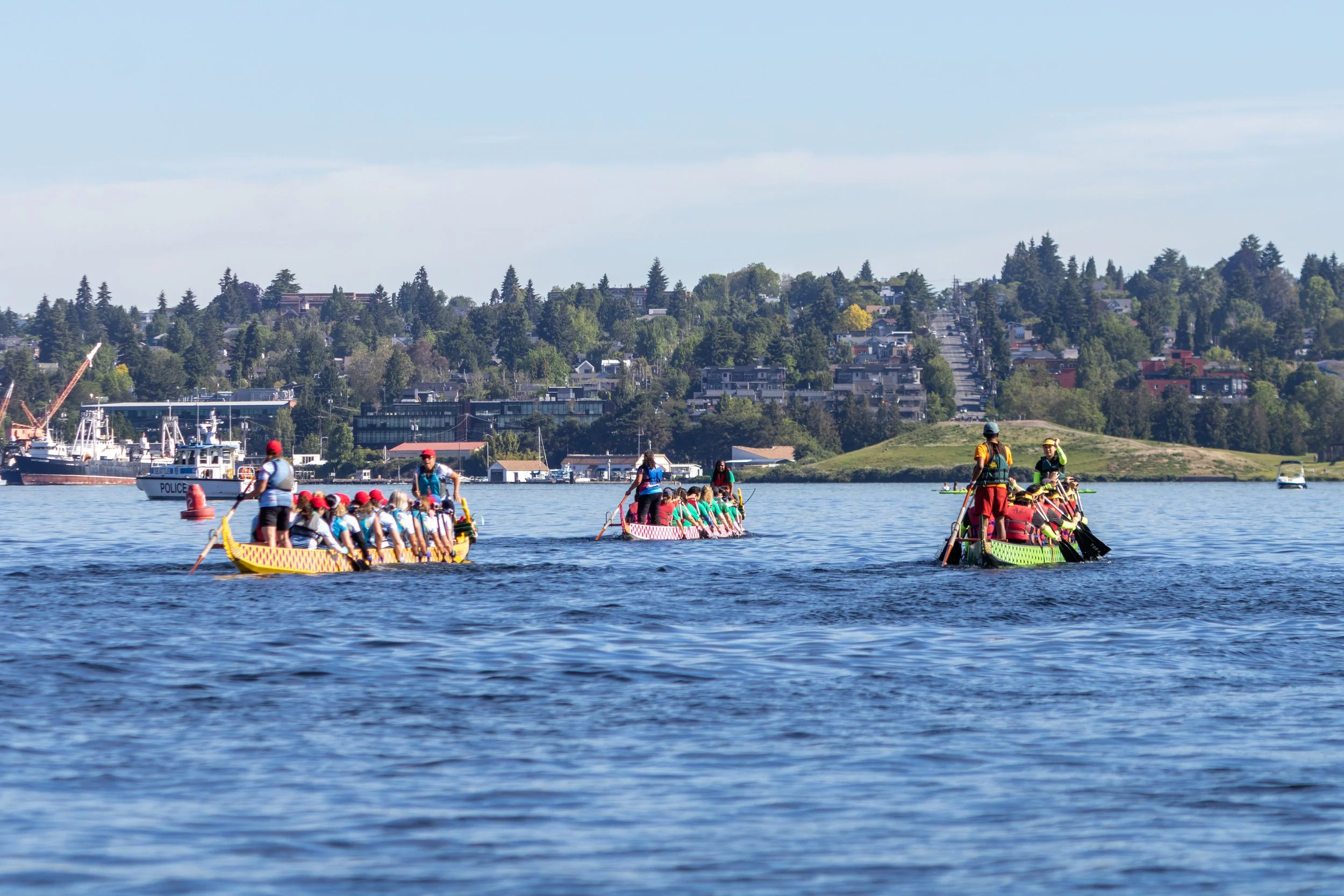 Board of Directors — Seattle Flying Dragon Boat Club
