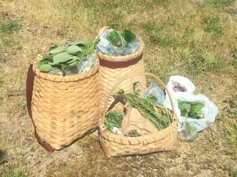 Foraging 101 Online: Intro to Foraging — Will Forage for Food