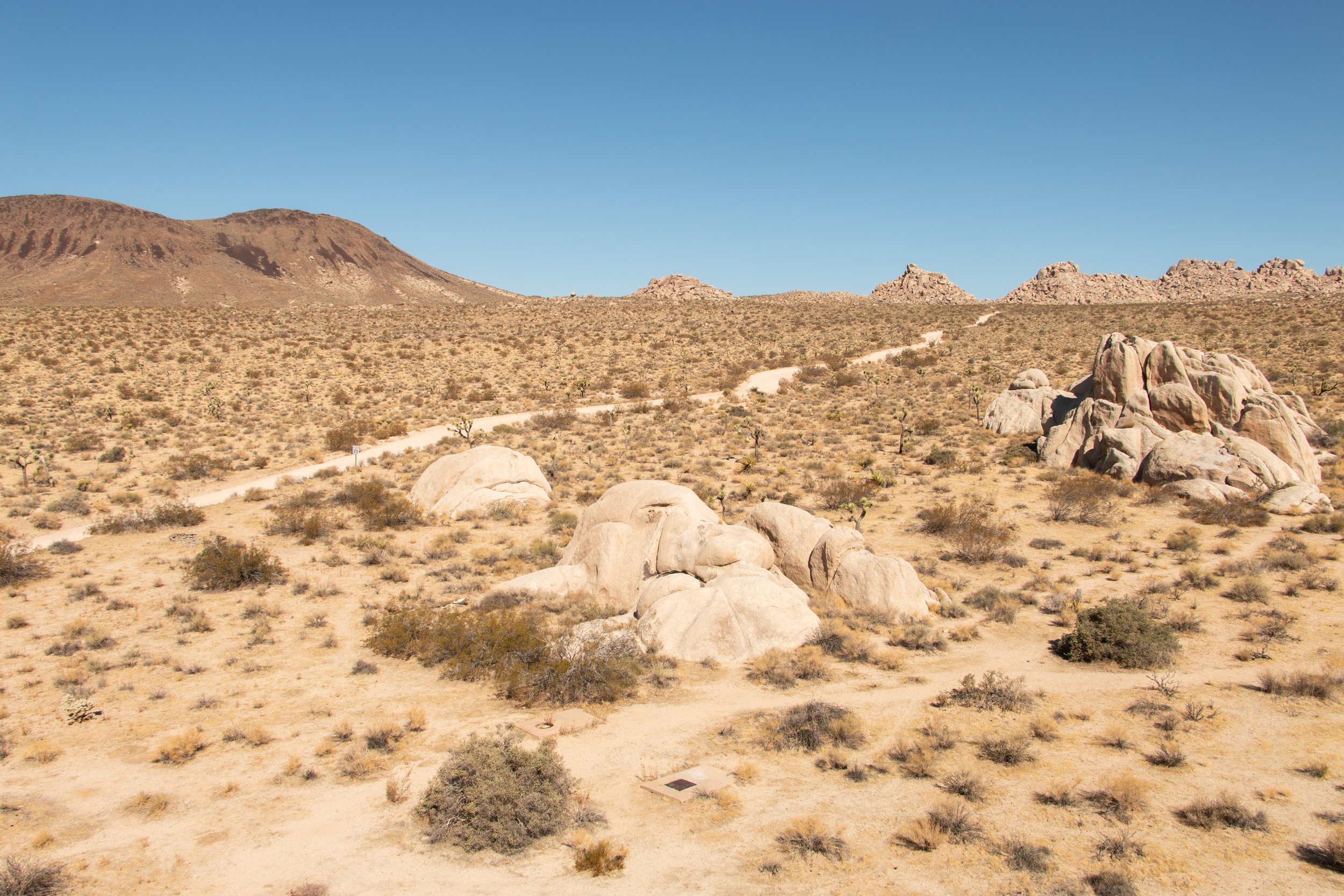 Visiting Joshua Tree National Park | In Joshua Tree
