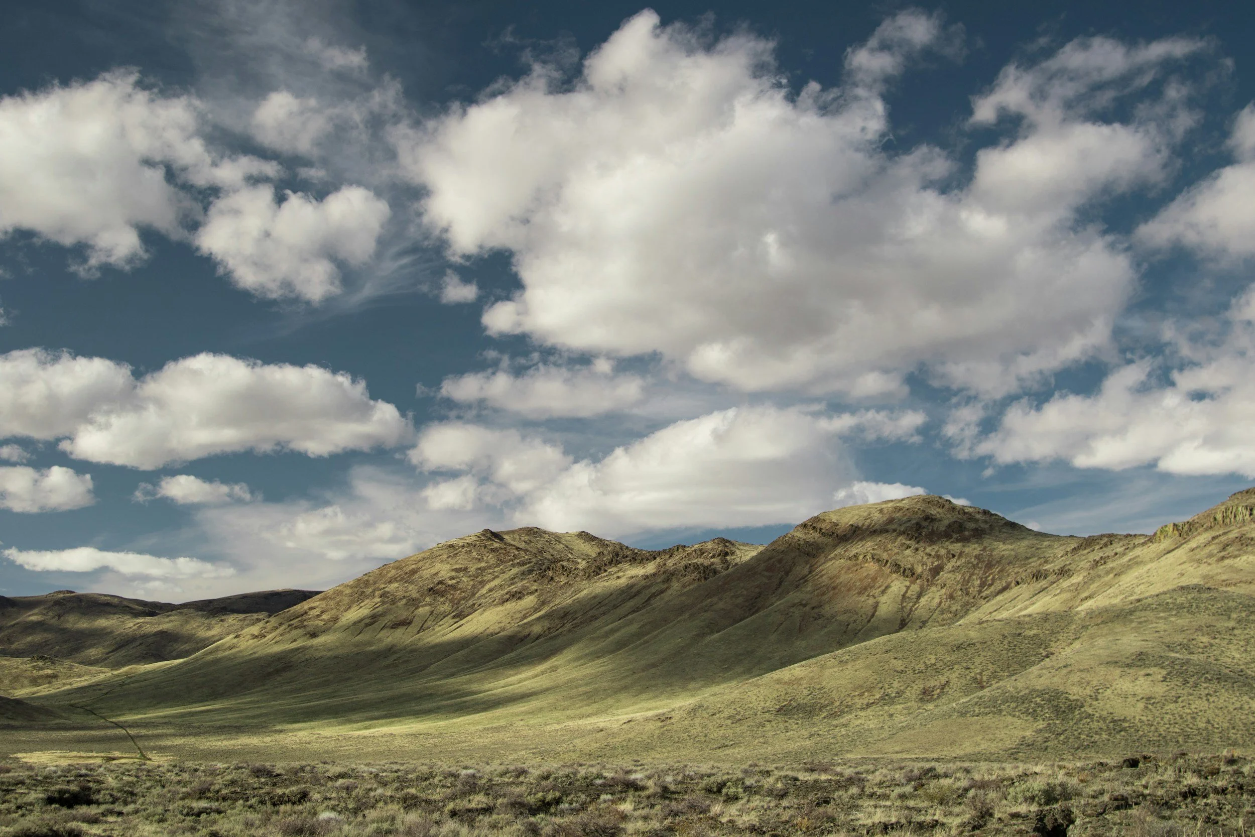 Idaho Building Permits — Permit Velocity