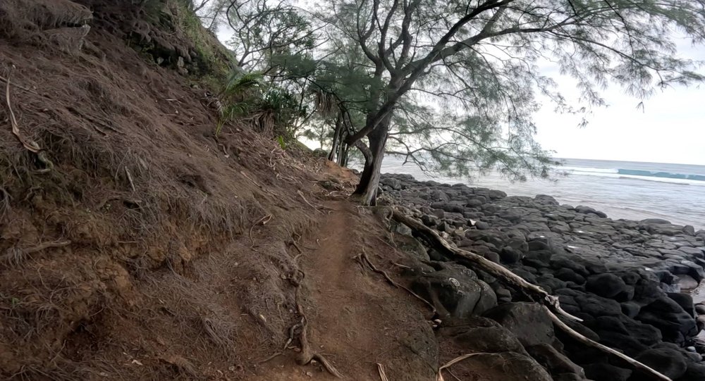 The Hidden Beauty of Sealodge Beach Kauai - A Local's Guide