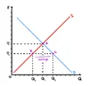 Surplus & Shortages | Discover Market Dynamics Today — Marshall Education