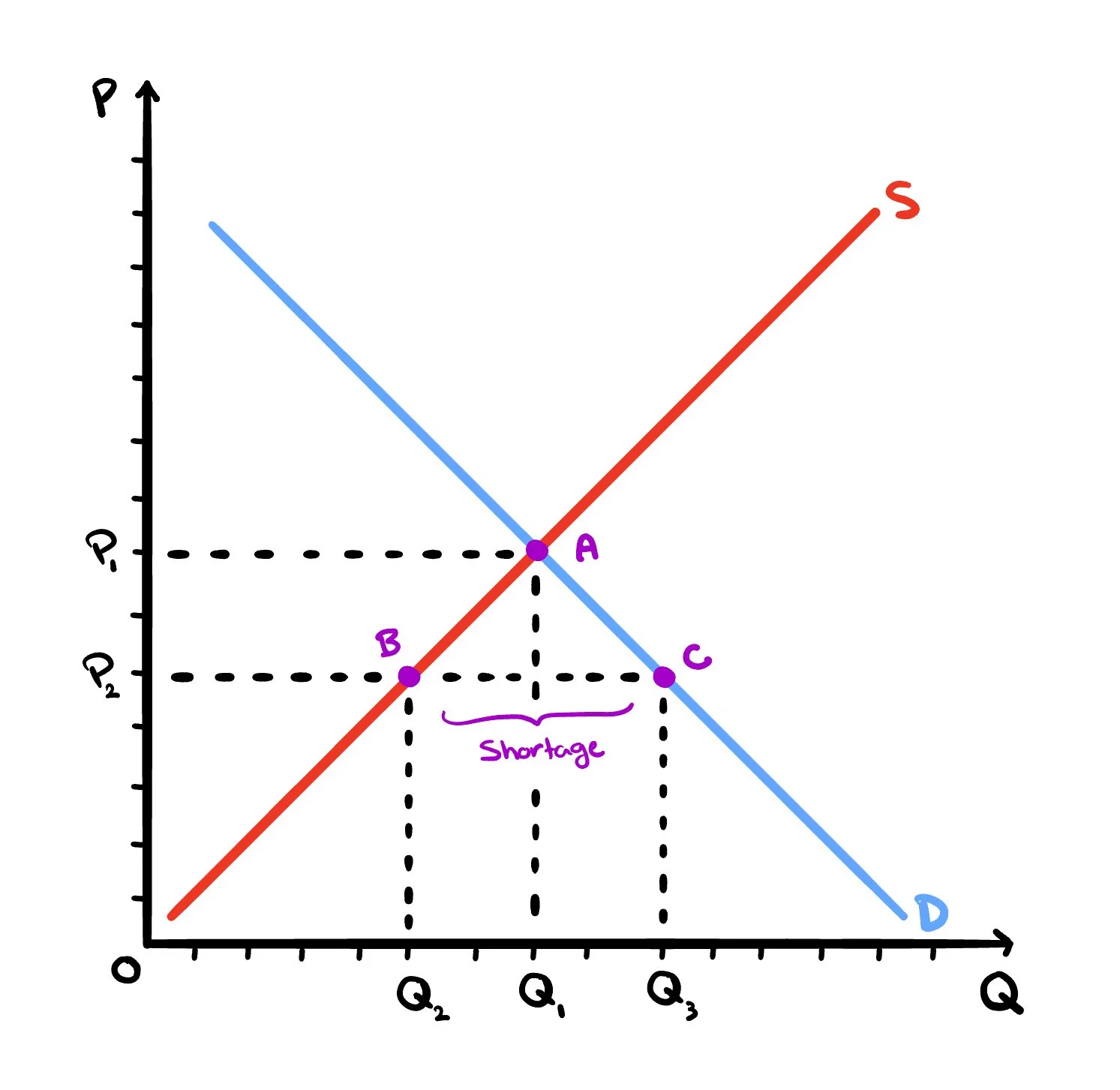 Surplus & Shortages | Discover Market Dynamics Today — Marshall Education