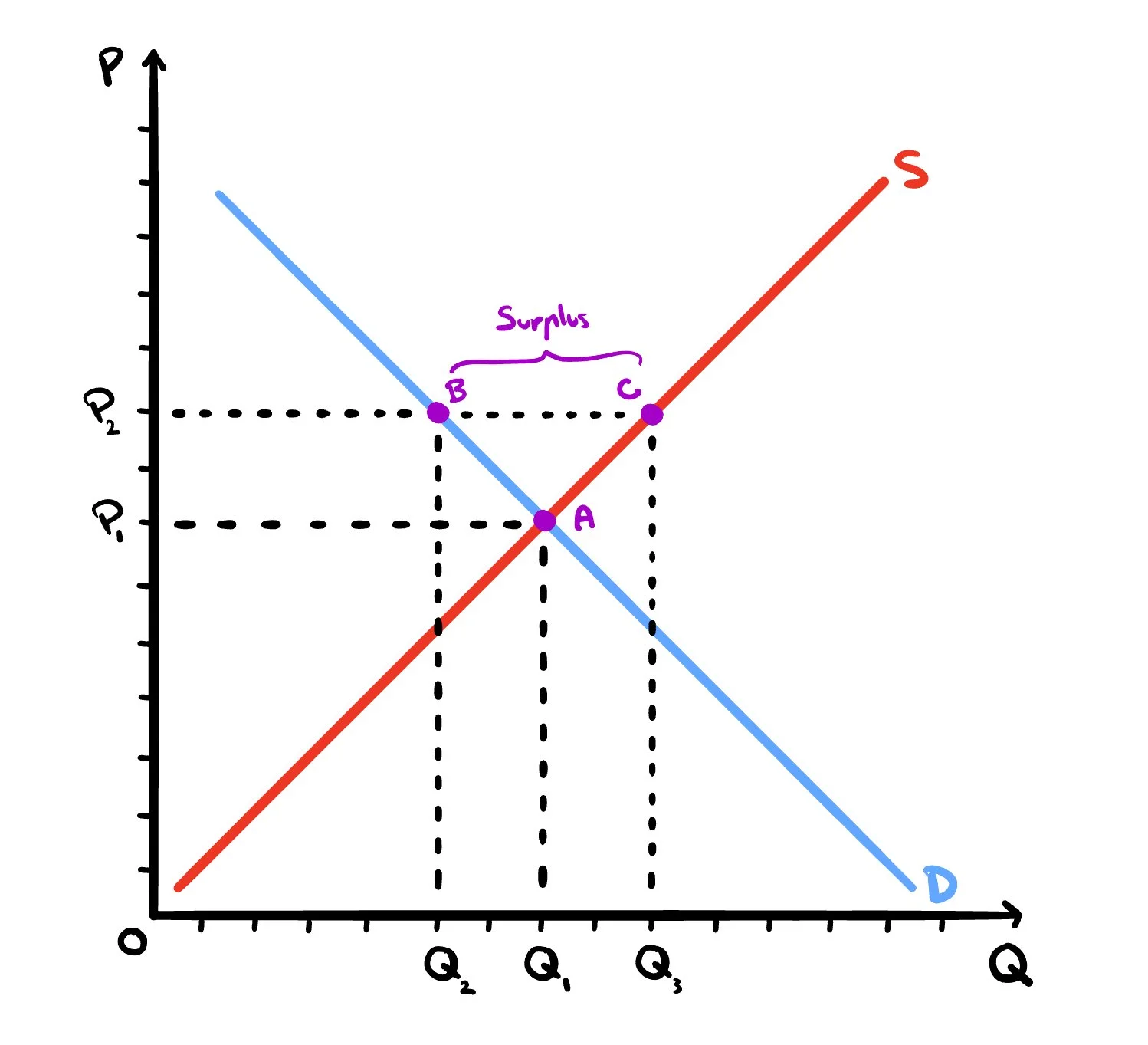Surplus & Shortages | Discover Market Dynamics Today — Marshall Education