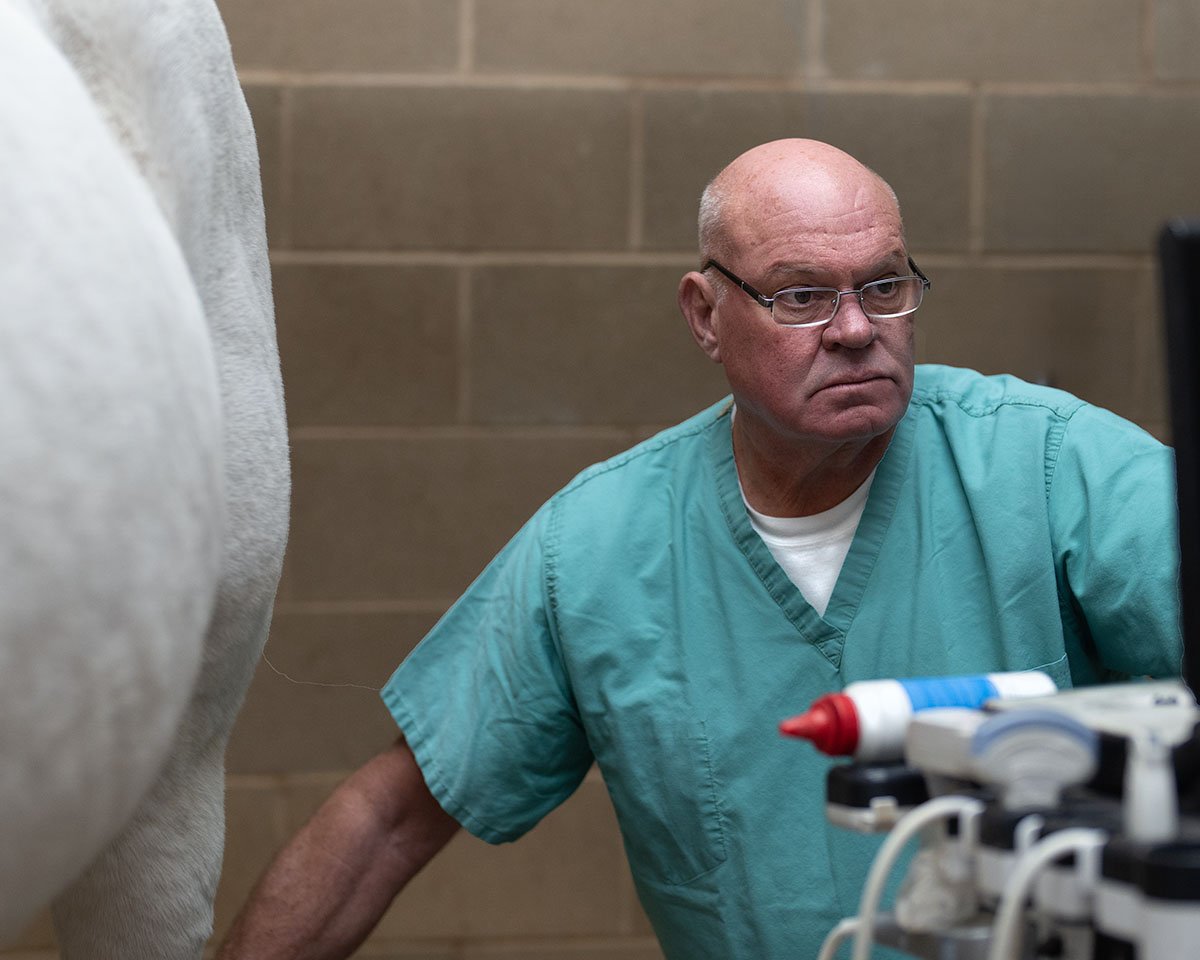 Staff | Meet Our Experts — Weems & Stephens Equine Hospital