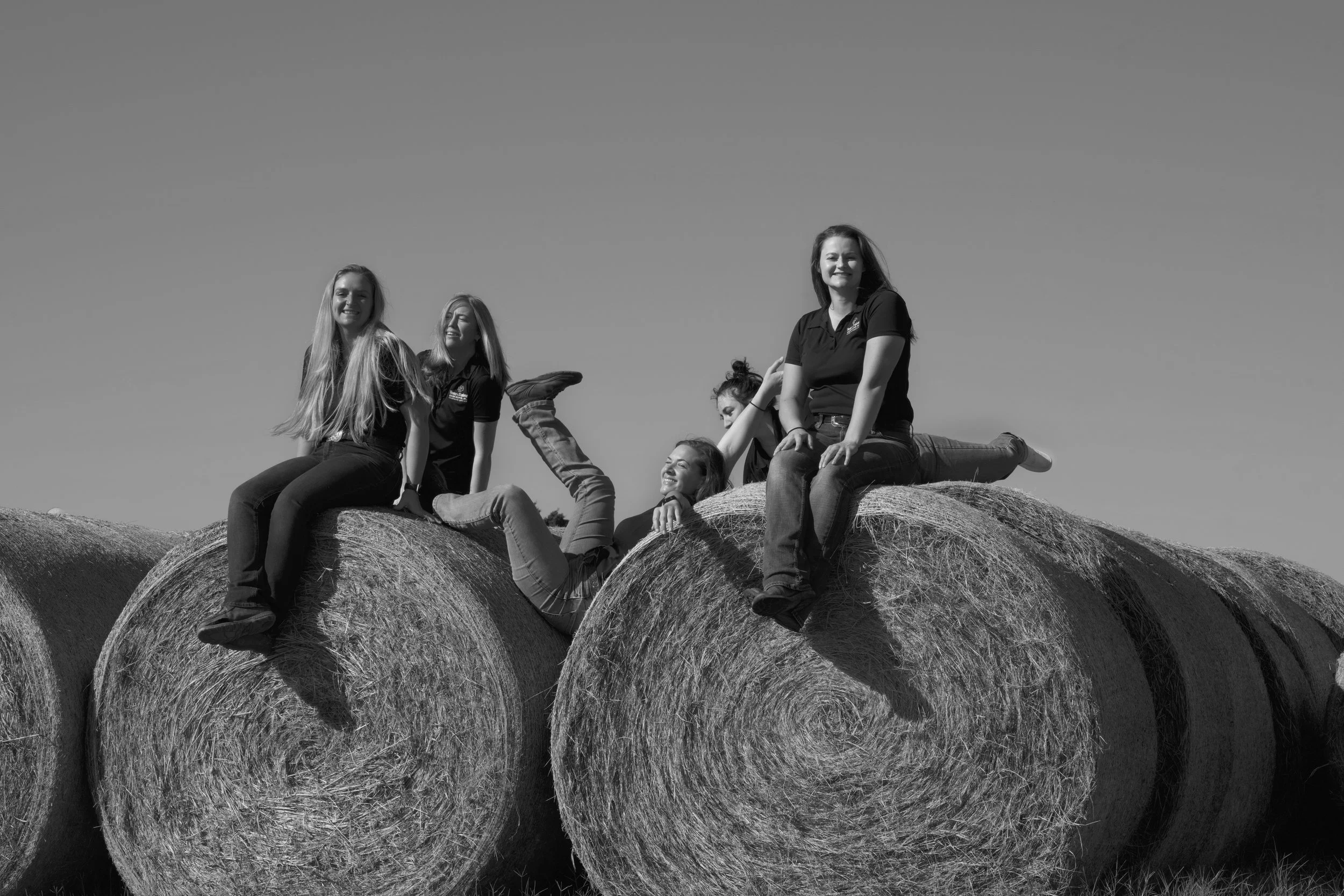 Staff | Meet Our Experts — Weems & Stephens Equine Hospital