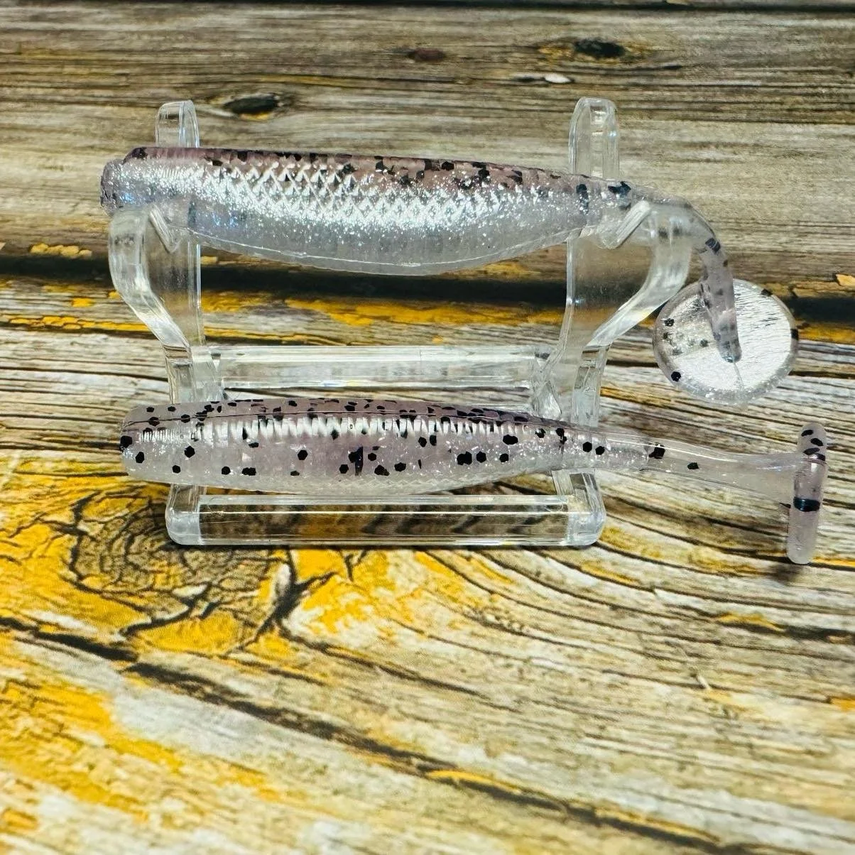 6 inch Swimbait box — Cast N' pullcastnpull