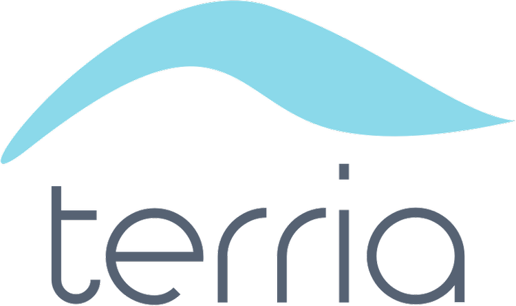 Turning the Tide: Pasig River Digital Twin Tackles Plastic Pollution in the Philippines | Terria