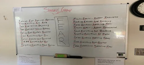 Fear — The Recovery Files