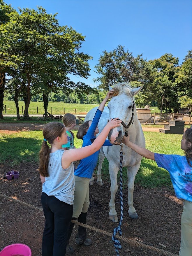 Summer Camp — Montanova Stables Foundation