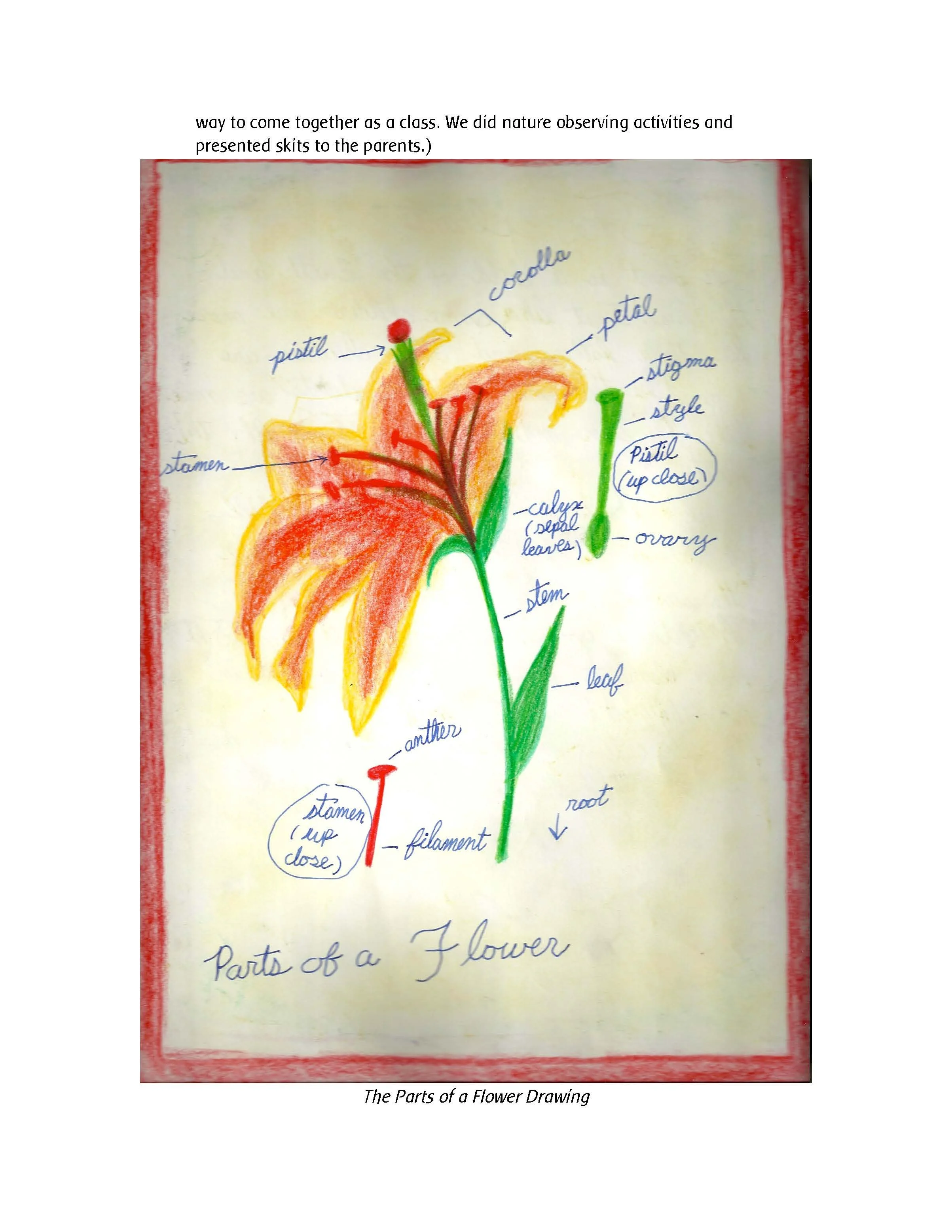 Waldorf Fifth Grade Greek Mythology Curriculum Guide — A Waldorf Journey