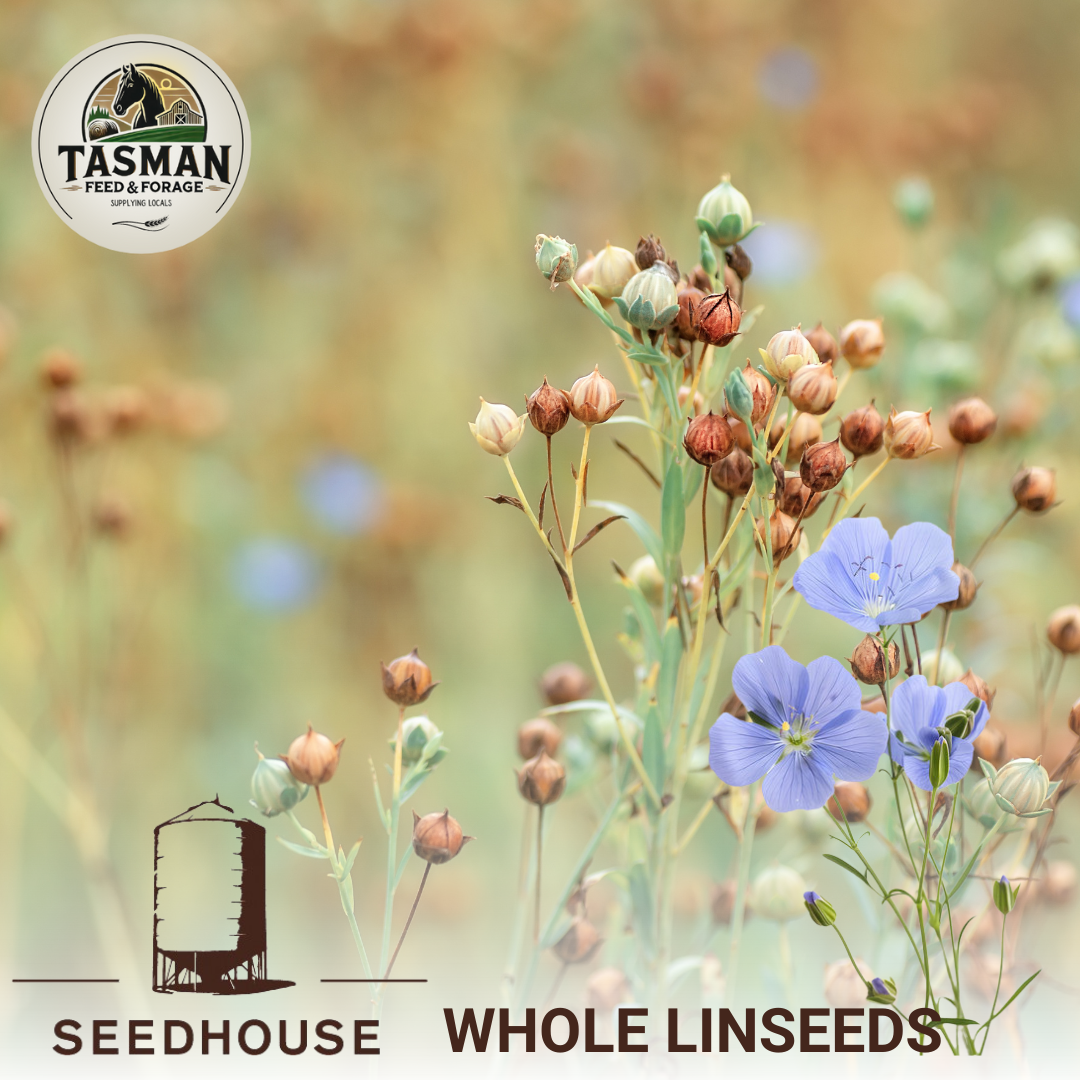 Seedhouse Linseeds -Seedhouse Flaxseeds — Tasman Feed & ForageTasman ...