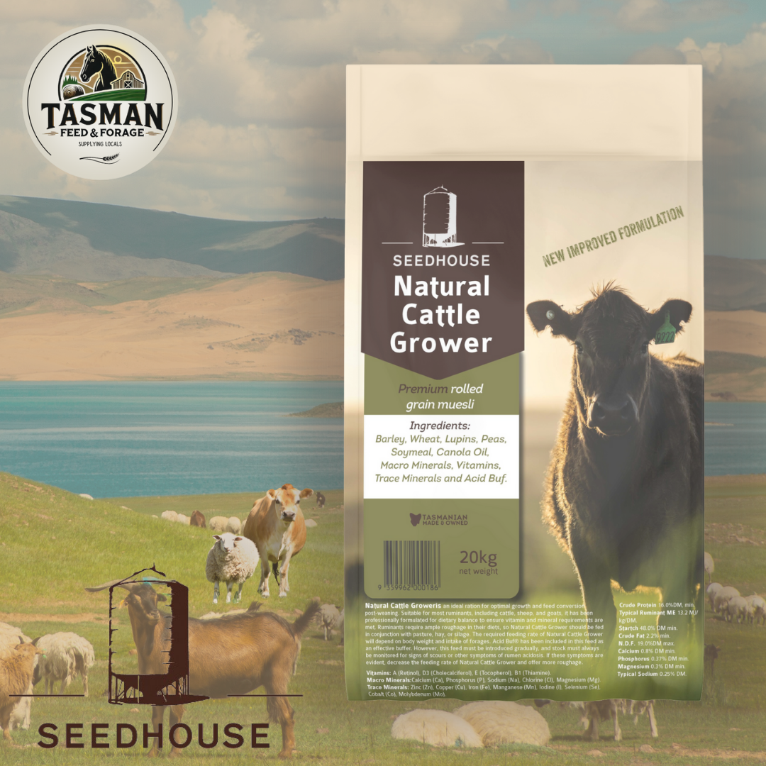 Seedhouse Natural Pig — Tasman Feed & ForageTasman Feed and Forage