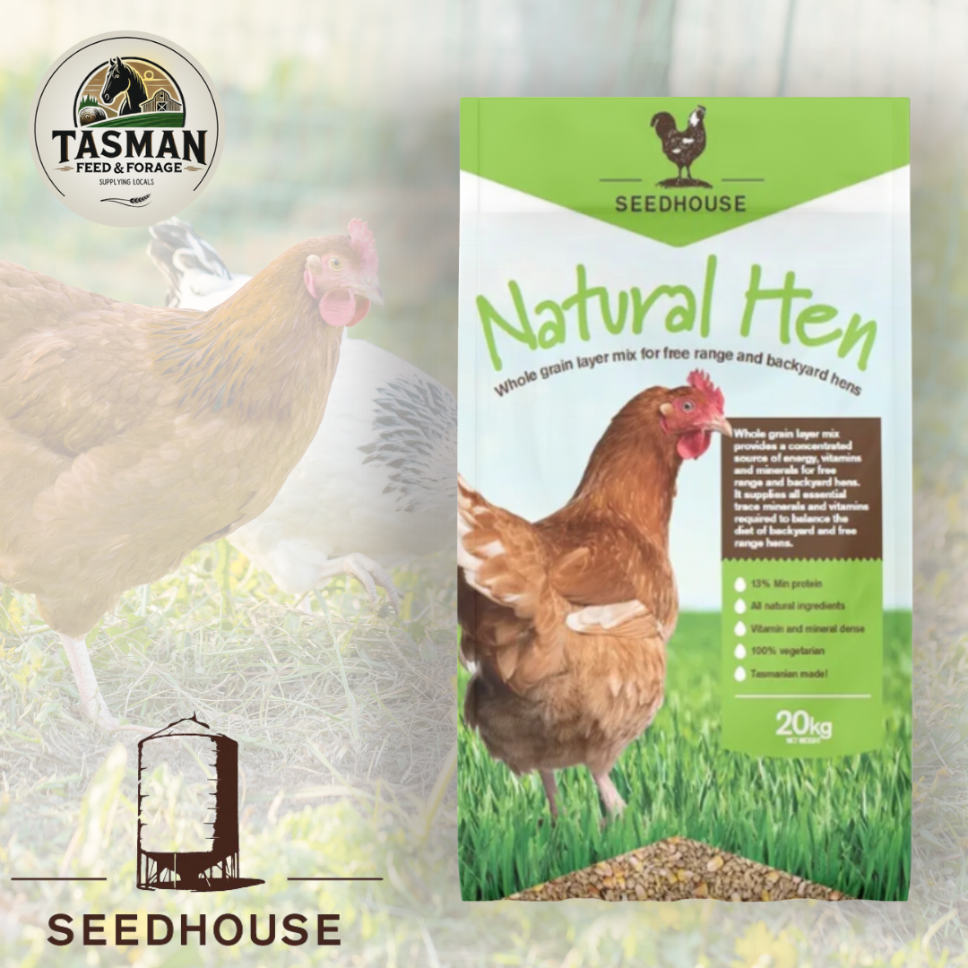 Seedhouse Natural hen — Tasman Feed & ForageTasman Feed and Forage