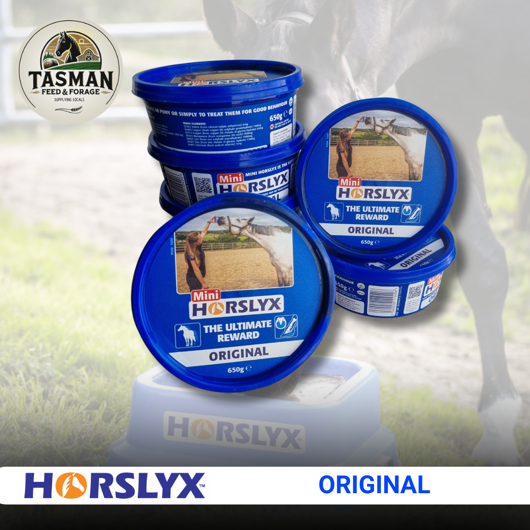 Horslyx Original — Tasman Feed & ForageTasman Feed and Forage