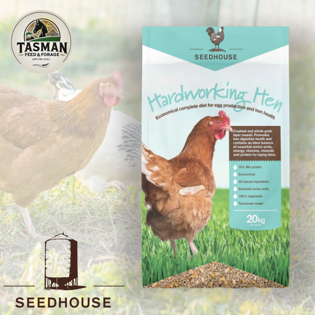 Seedhouse Hardworking Hen — Tasman Feed & ForageTasman Feed and Forage