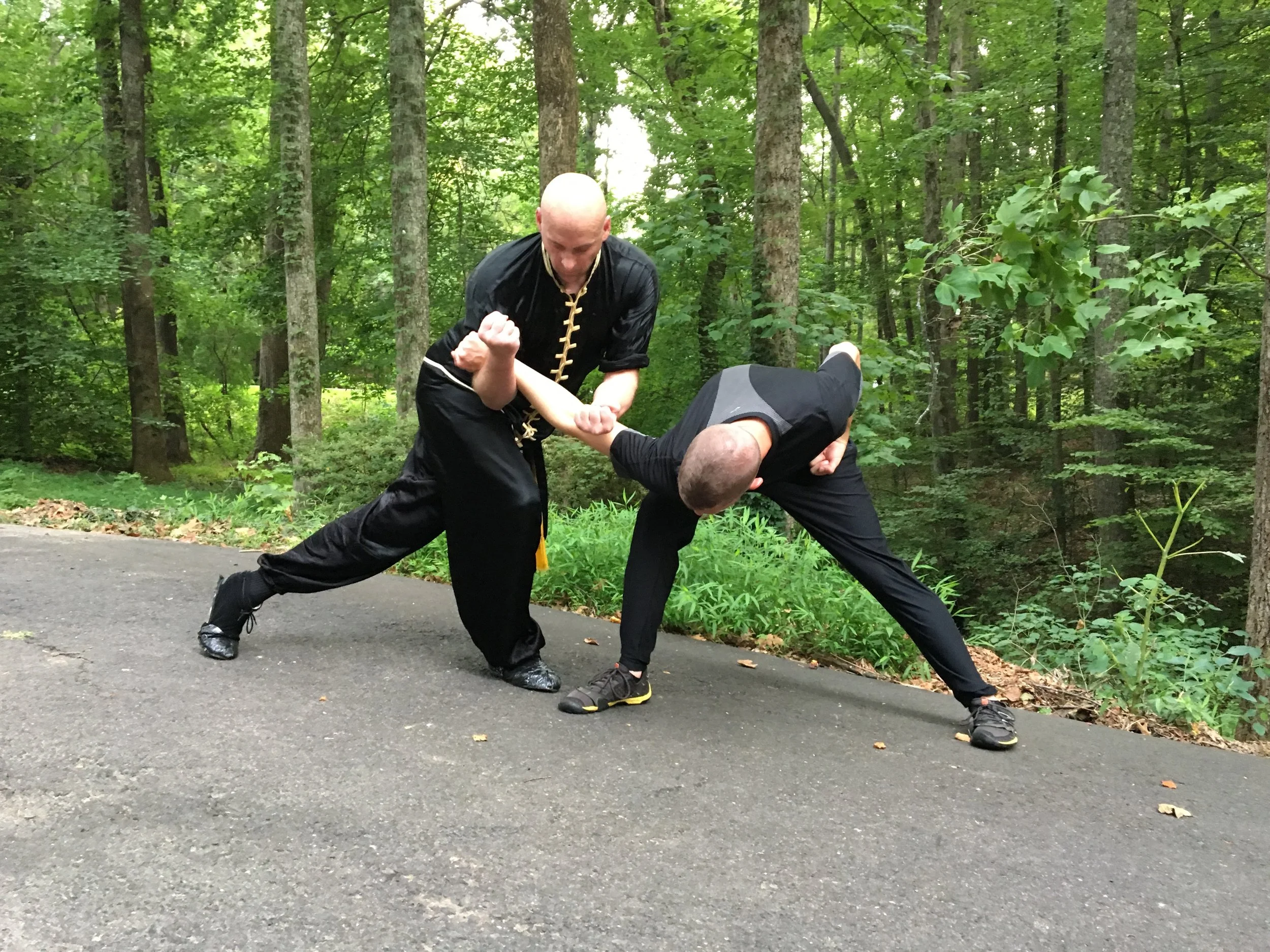 Northern Arts Kung Fu: Eagle Claw Kung Fu and Wu Tai Chi Chuan