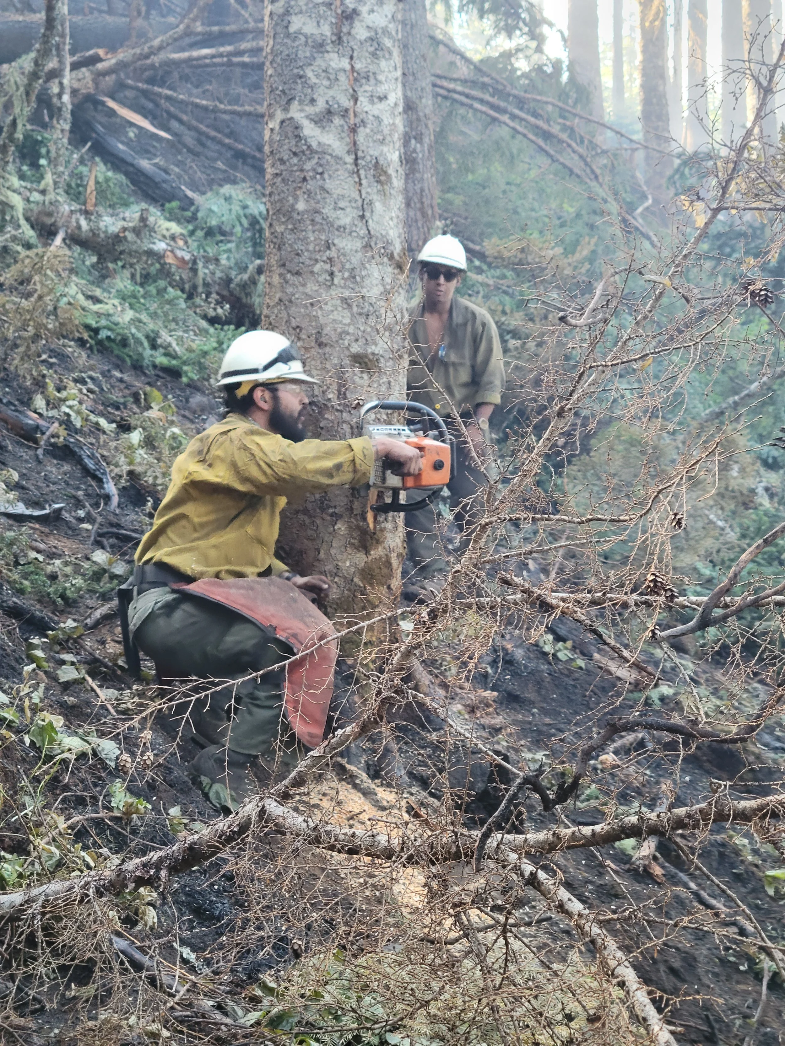 White Mountain Fire Crew