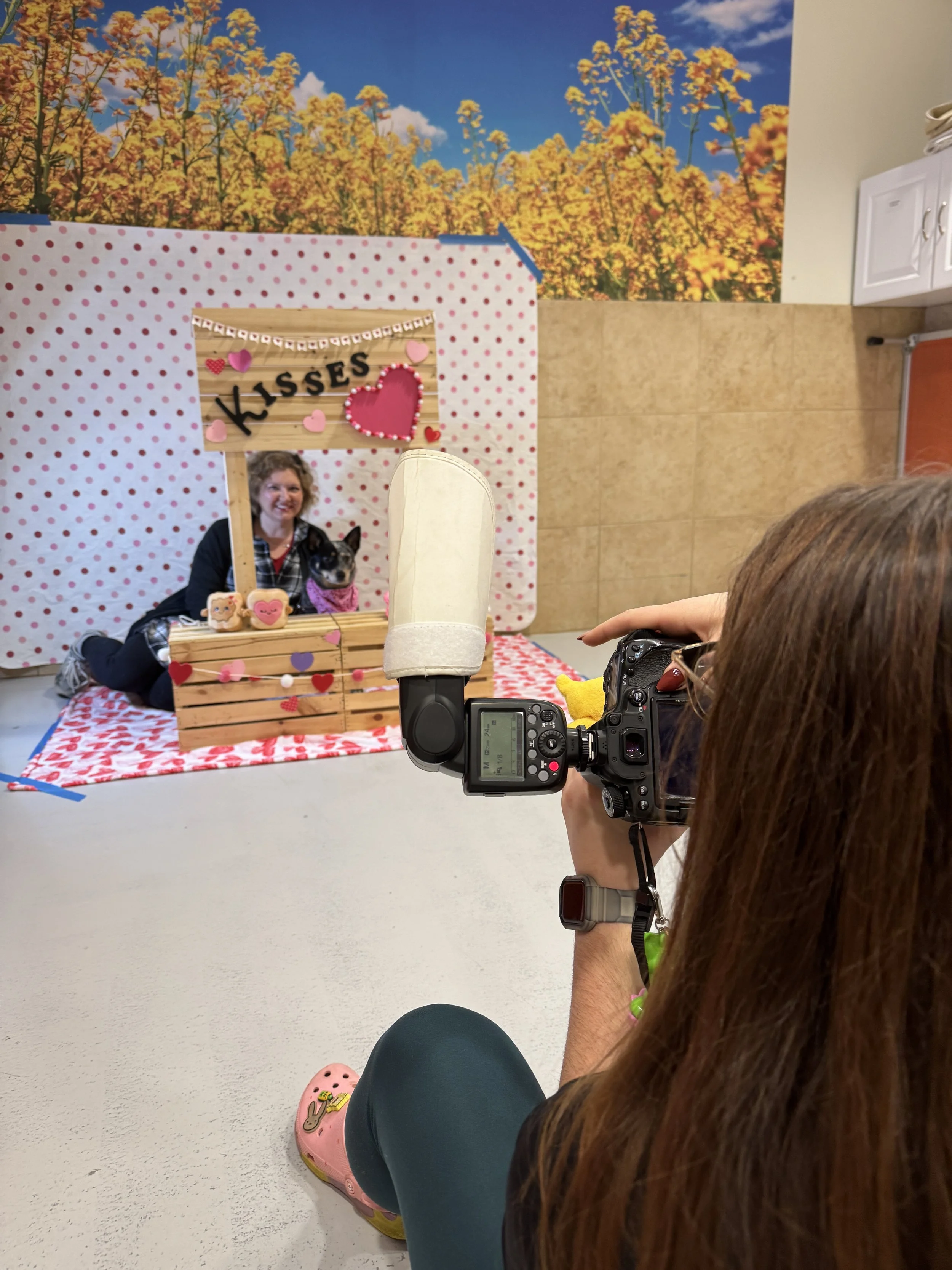 Upper Arlington — Puptown Lounge Daycare | Boarding | Grooming